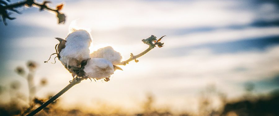 Ropa natural y sostenible - SIN MICRO PLASTICO